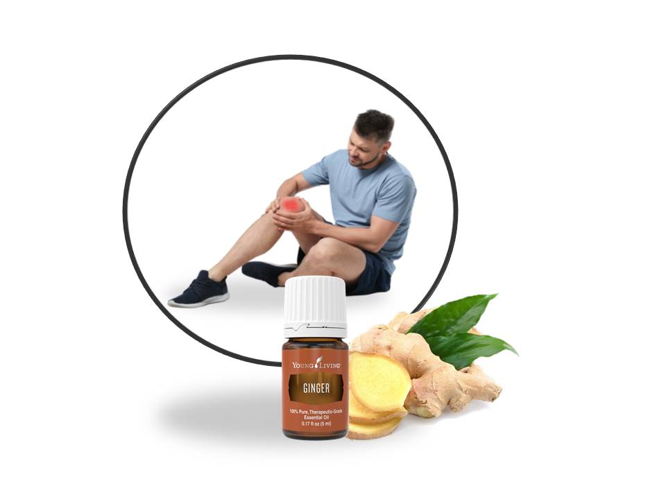 Comparison of the Effectiveness of Aromatherapy Massage with Ginger and Sesame Oil on Joint Pain ...